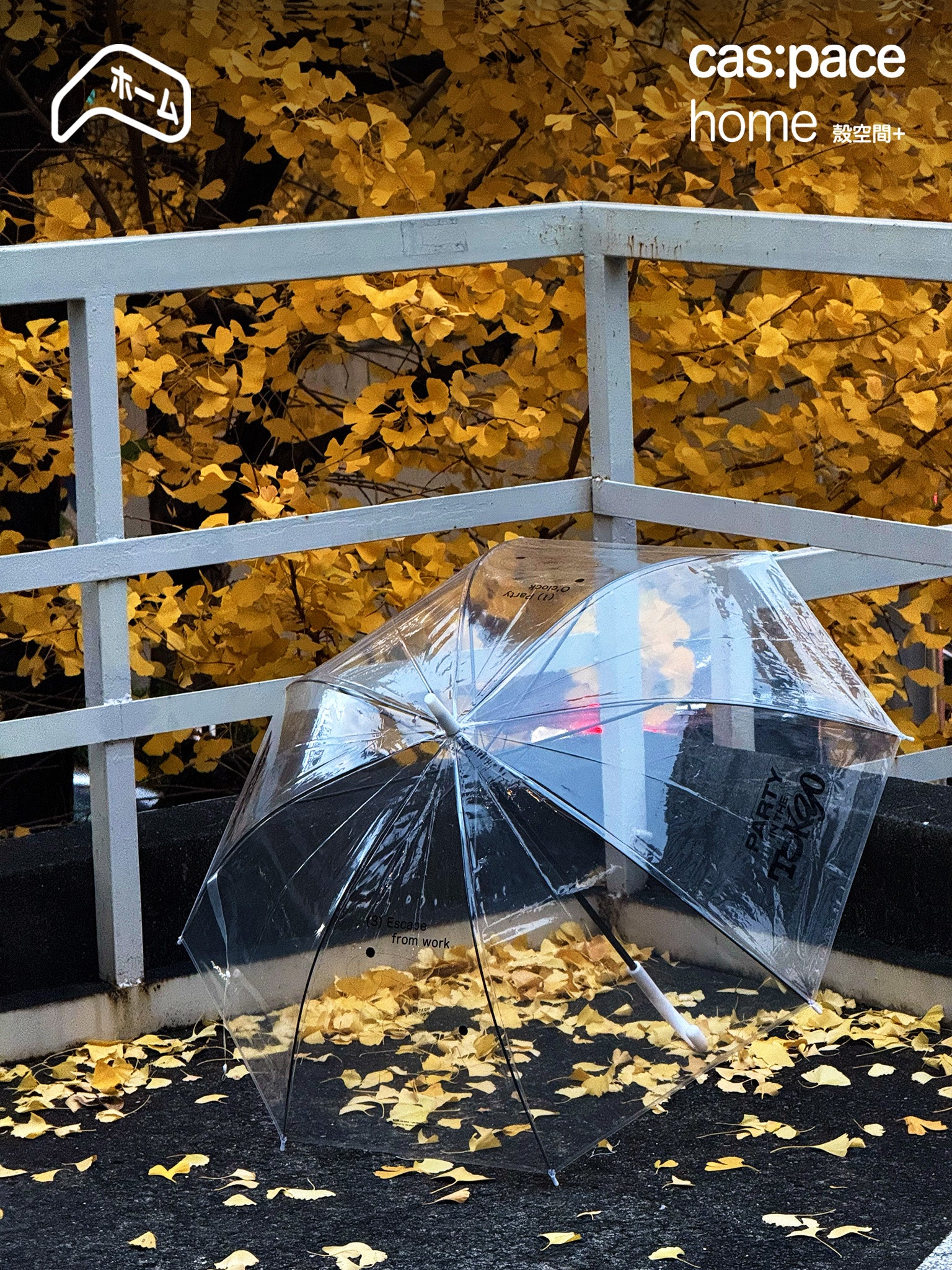 cas:pace home 24A/W 「party in tokyo」透明傘
